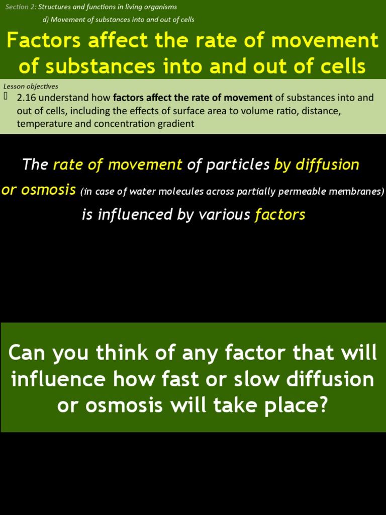 CG - Y9 - 05 Factors Affecting Diffusion | PDF | Diffusion | Cell Membrane