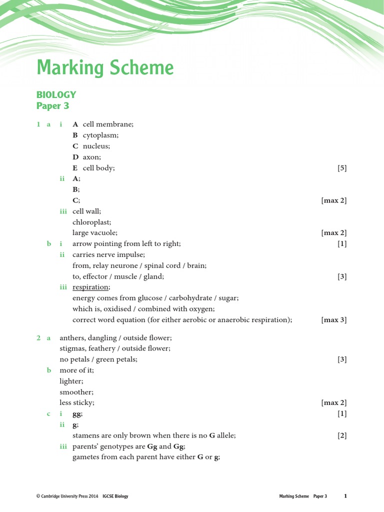 Marking Scheme: Biology Paper 3 | PDF | Cellular Respiration | Heart
