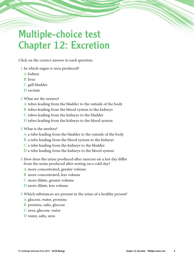 Multiple-Choice Test Chapter 12: Excretion: 1 A B C D 2 A B C D 3 A B C ...