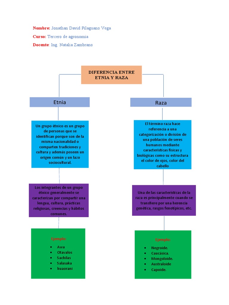 Actividad de Identidad Cultultural Diferencia Entre Etnia y Raza | PDF