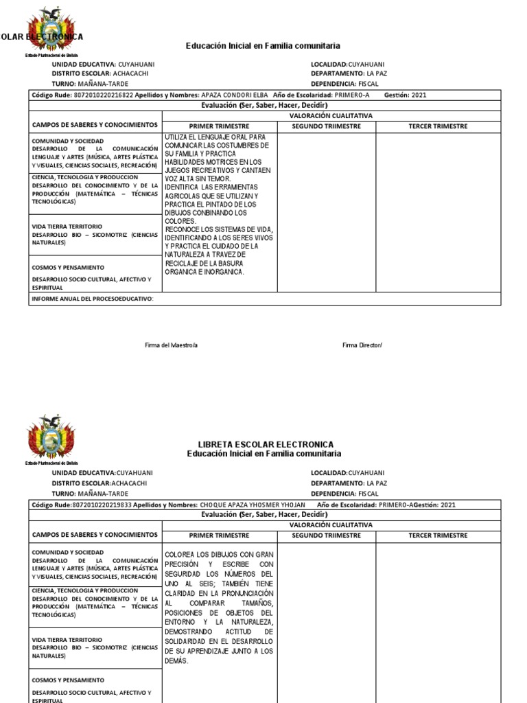 Indicadores para Libretas Inicial 2024 | PDF | Educación de la primera ...