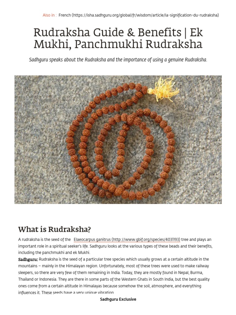 Rudraksha - Which One To Use and Benefits of Wearing Rudraksha | PDF ...