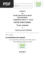 Organigramme Ocp Nouveau | PDF | Maroc | Business