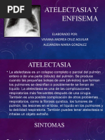 CAPÍTULO 17 - Prurigo Por Insectos (Cimiciasis) | PDF | Insecticida ...