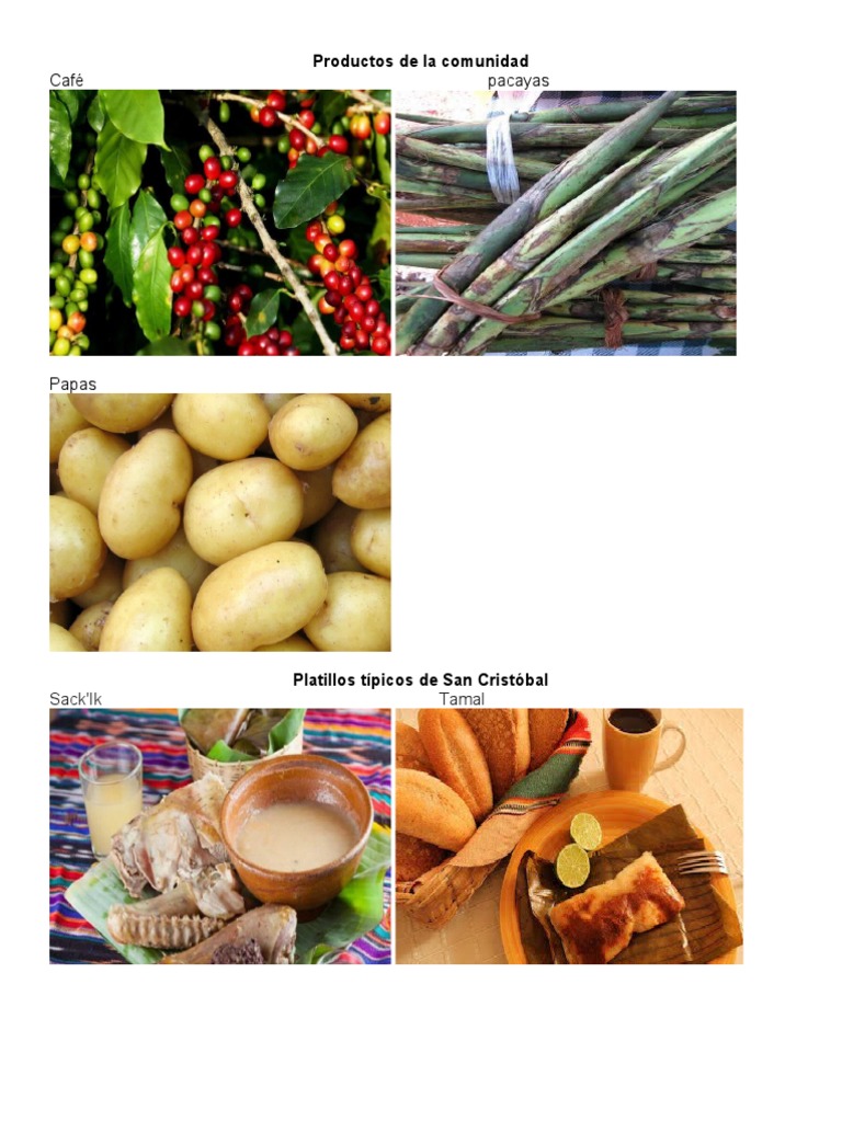 Productos de La Comunidad | PDF