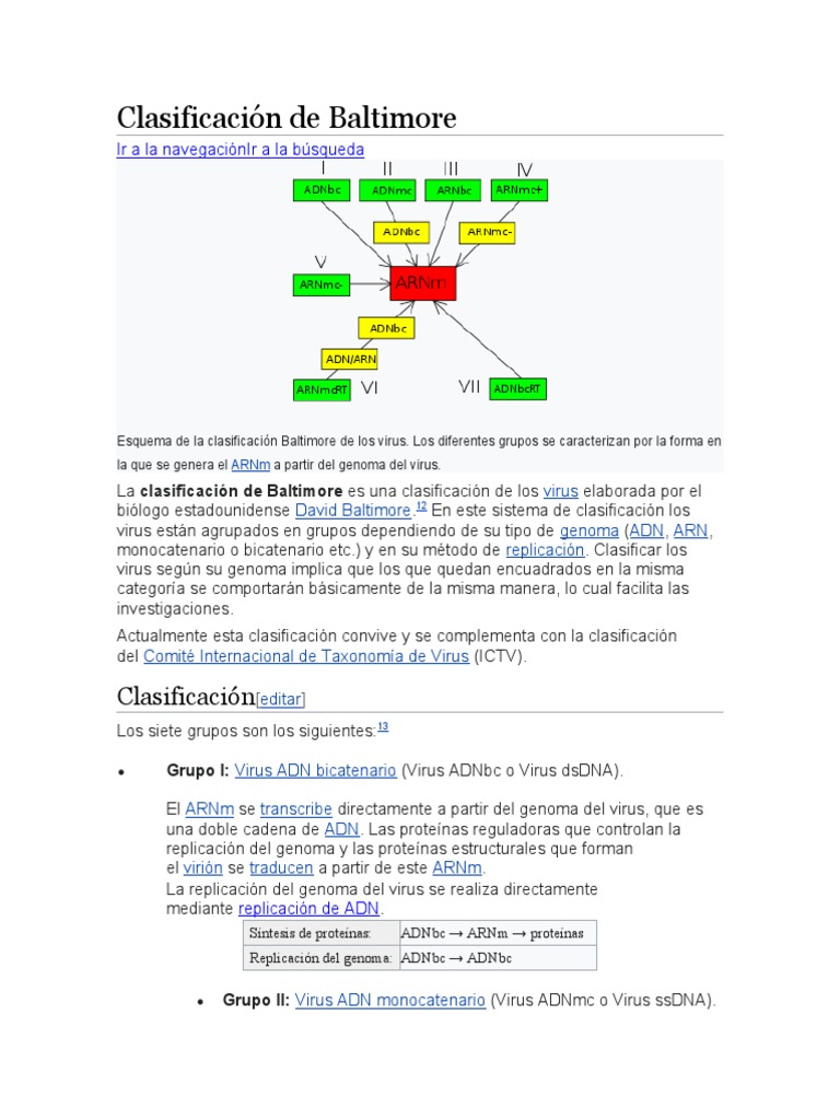 Clasificación de Baltimore de Virus | PDF | Virus | Rna