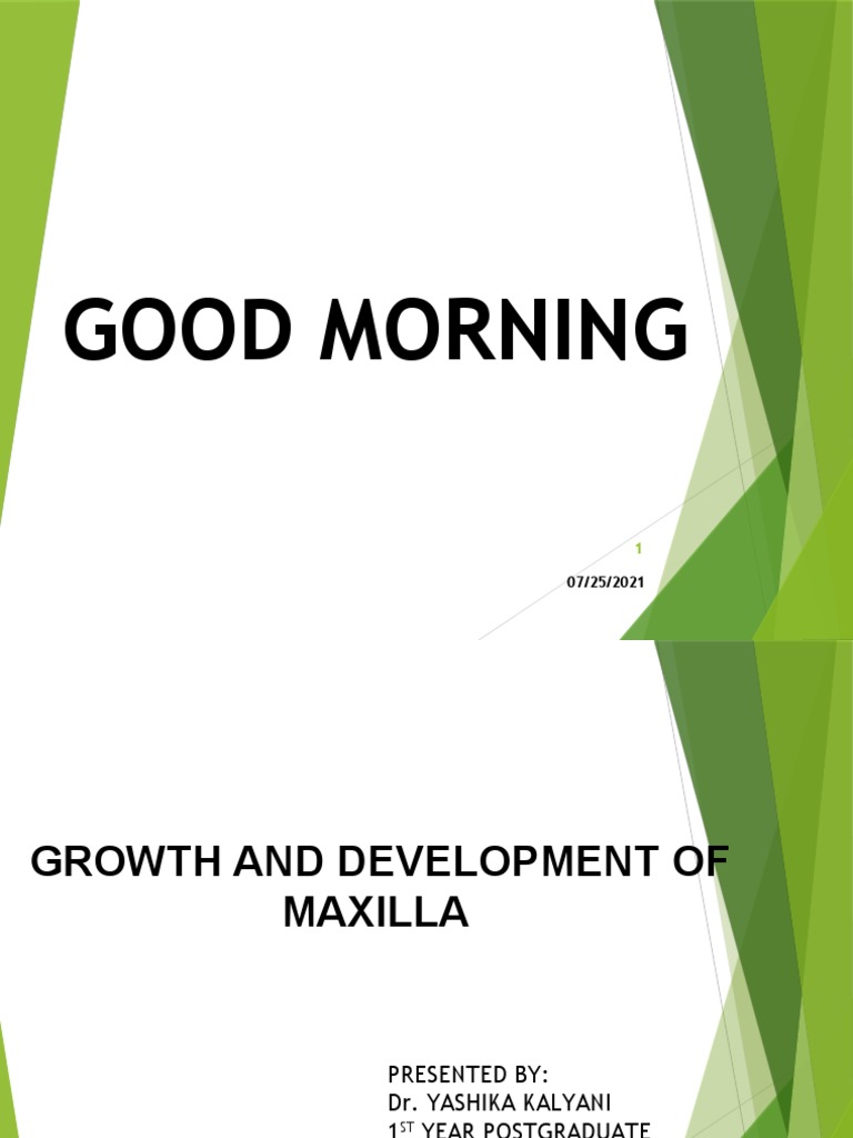 Prenatal and Postnatal Maxilla Growth | PDF | Bone | Skull