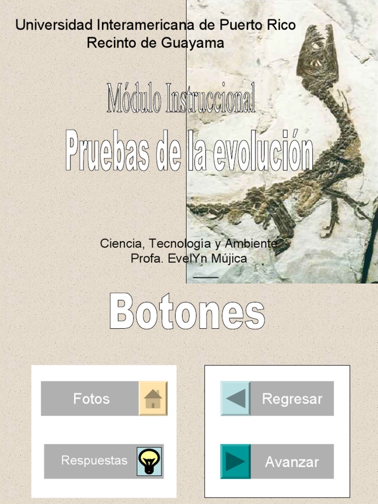 Pruebas de La Evolucion | PDF | Evolución | Fósil