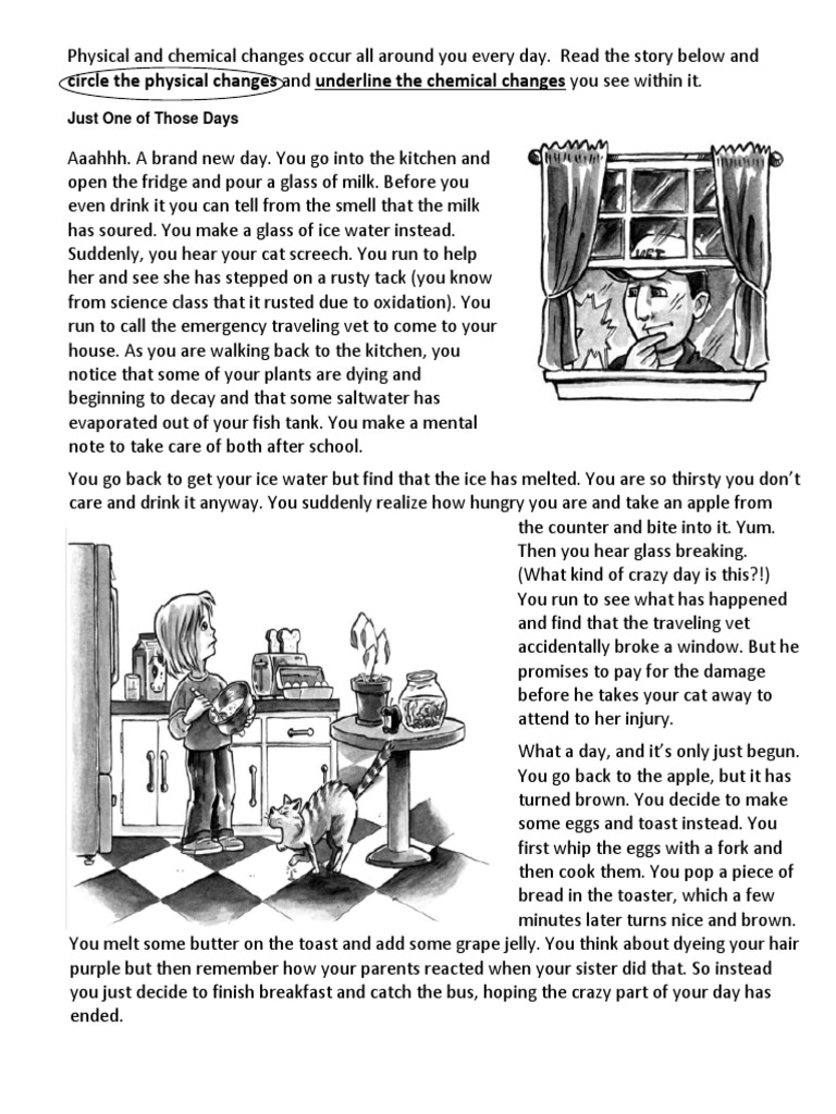 A Chemical and Physical Change Story | PDF | Nature