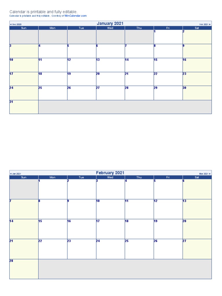 Editable January 2021 Calendar | PDF