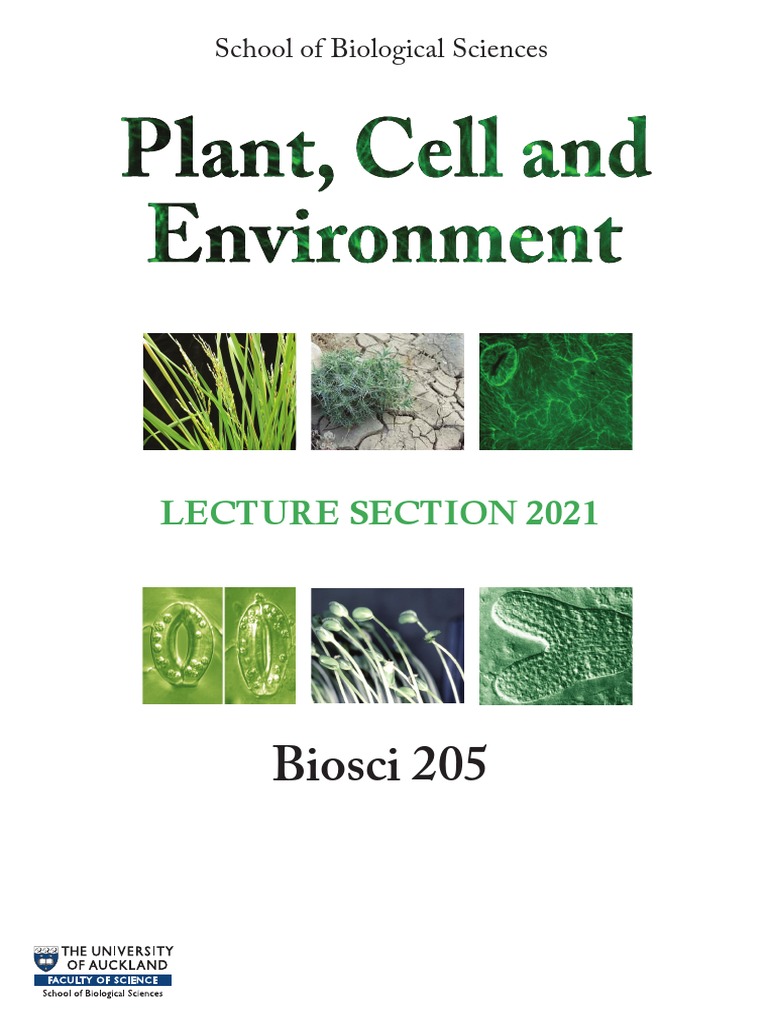 205 Lecture Guide | PDF | Photosynthesis | Chloroplast