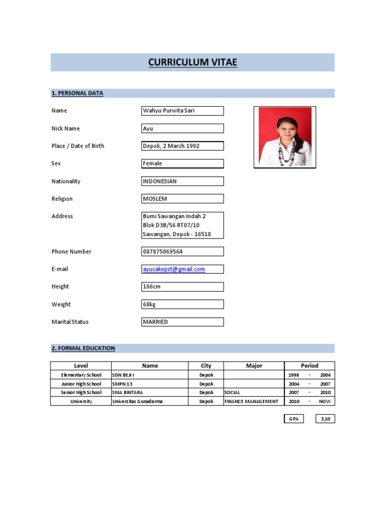 Curriculum Vitae Ayu New | PDF | Jakarta | Computing