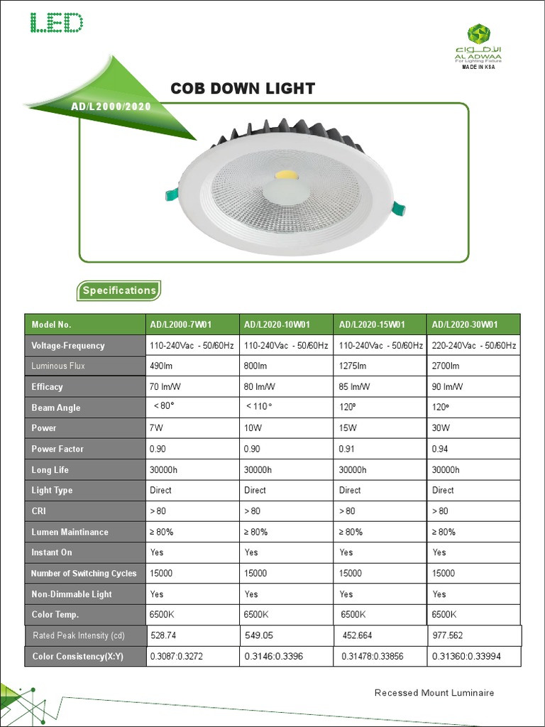 Specifications and Safety Instructions for a Range of COB Down Light ...