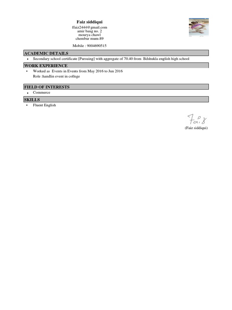 Faiz - Professional Resume - 02 | PDF