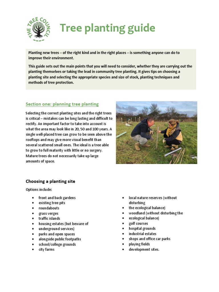 Tree Planting Guide | PDF | Plant Nursery | Trees