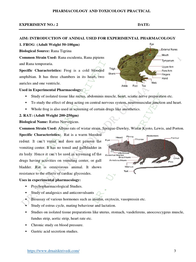 Common Laboratory Animals in Pharmacology | PDF | Laboratory Rat ...