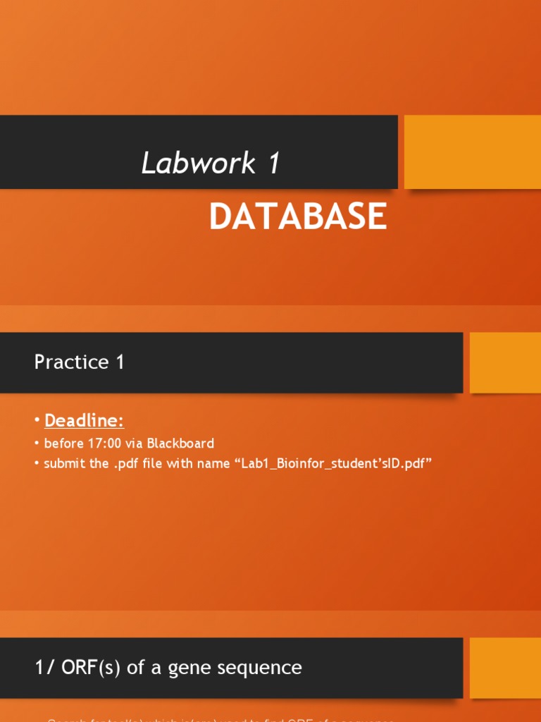 Lab 1 Pdf 
