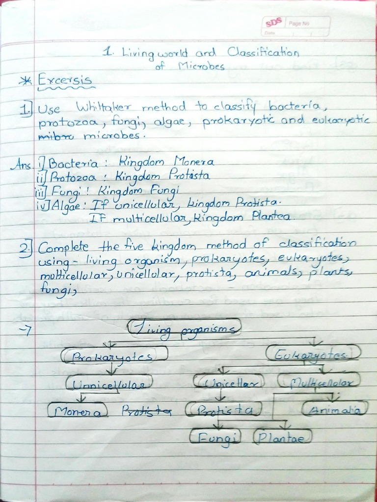 Lss No.1 - Living World and Classification of Microbes | PDF