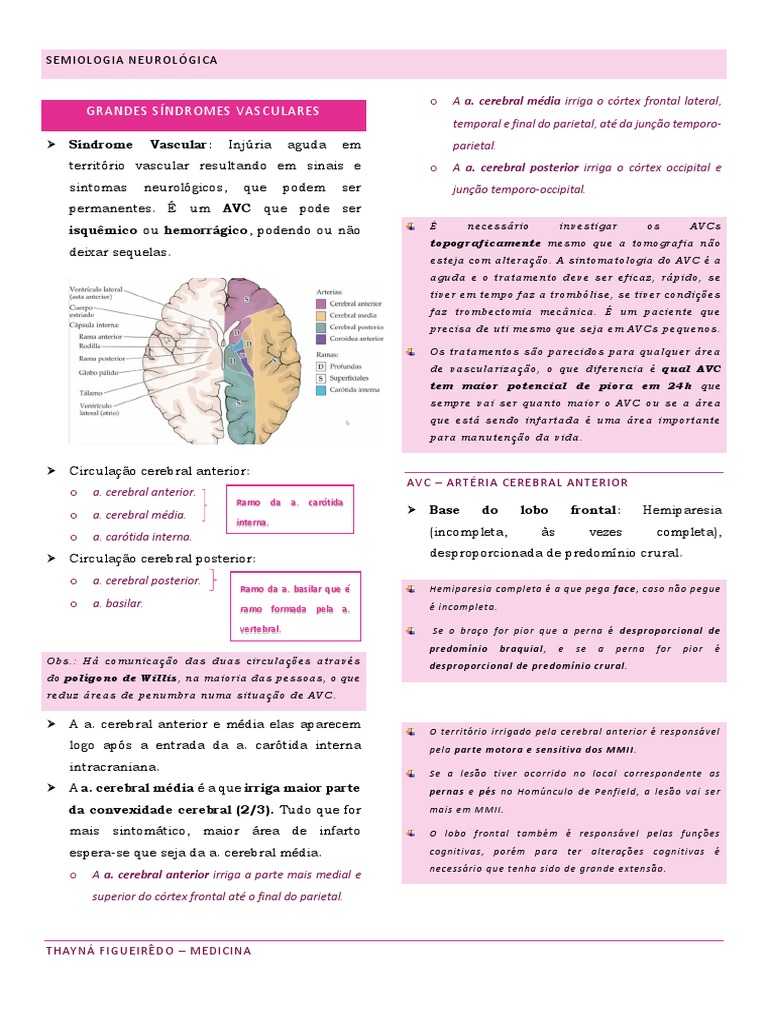 Grandes Síndromes Vasculares - Semiologia Neurológica | PDF | AVC | Sistema nervoso