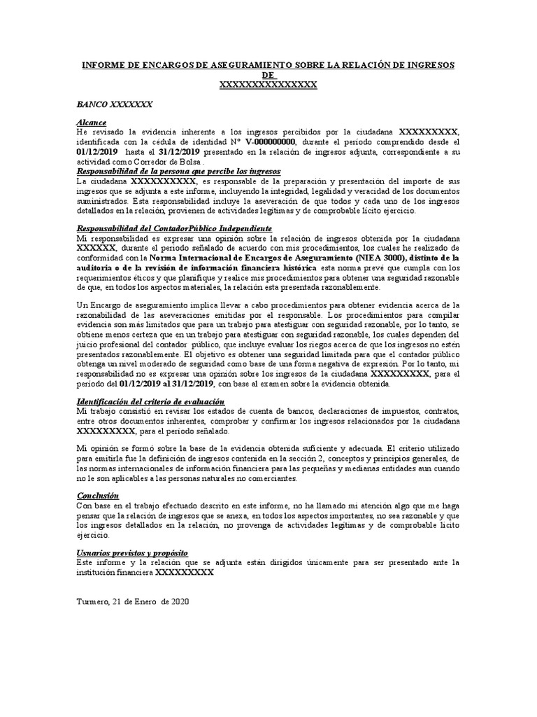 Informe de Encargos de Aseguramiento Niea 3000 | PDF | Auditoría ...
