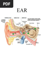 Stenger Test Guide | PDF | Hearing Loss | Ear