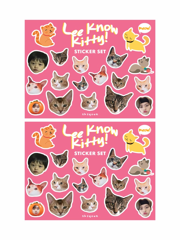 Lee Know Sticker | PDF