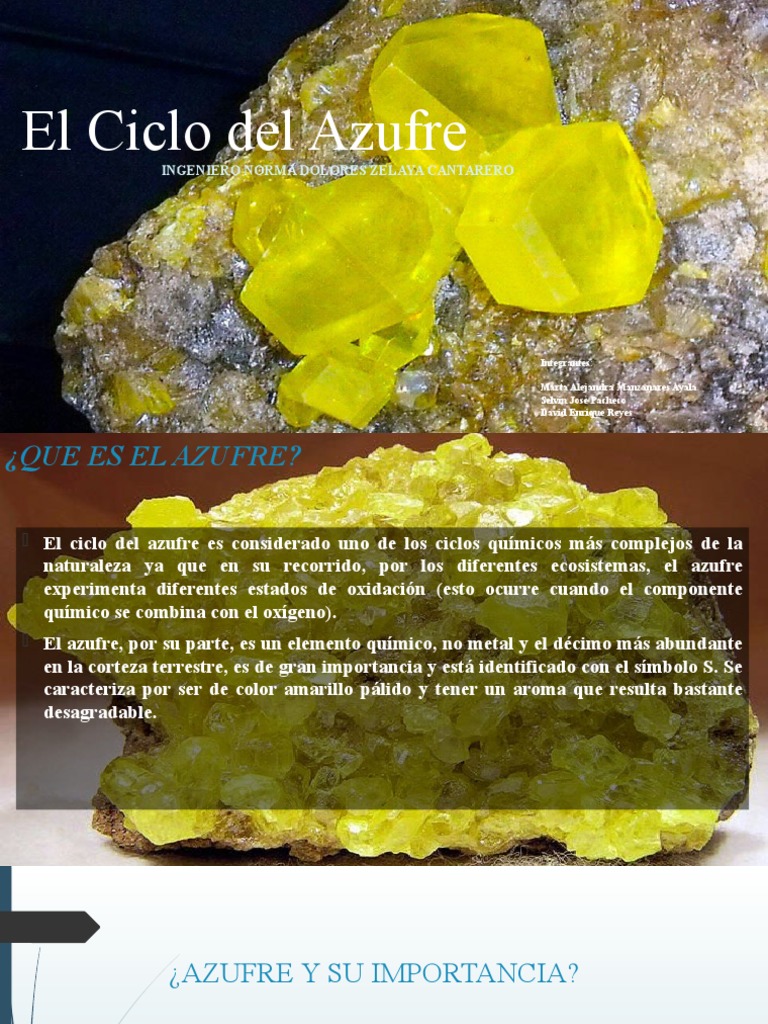 Ciclo Del Azufre | PDF | Azufre | Suelo