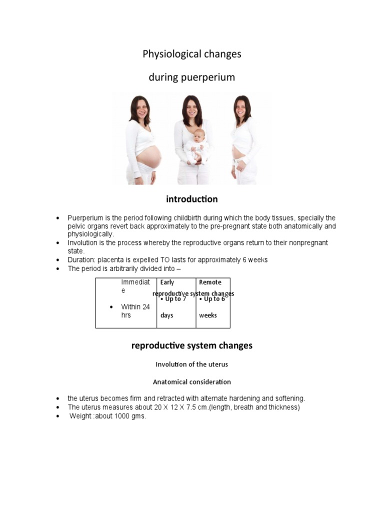 Uterine Involution During Puerperium | PDF | Uterus | Animal Anatomy