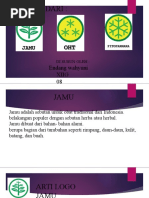 Perbedaan Jamu, OHT Dan Fitofarmaka | PDF | Kesehatan Holistik