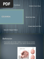 Técnica de Cesárea Segmentaria Transperitoneal | PDF | Parto | Seccion ...