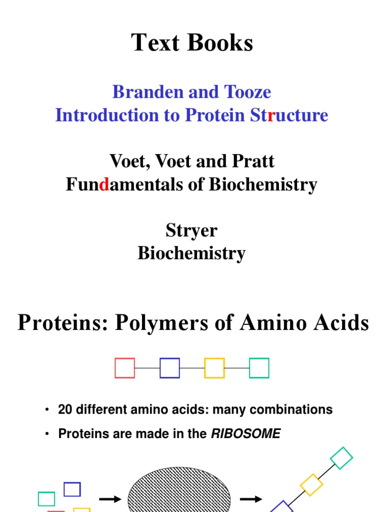 Biochemistry of Proteins | PDF | Protein Folding | Amino Acid