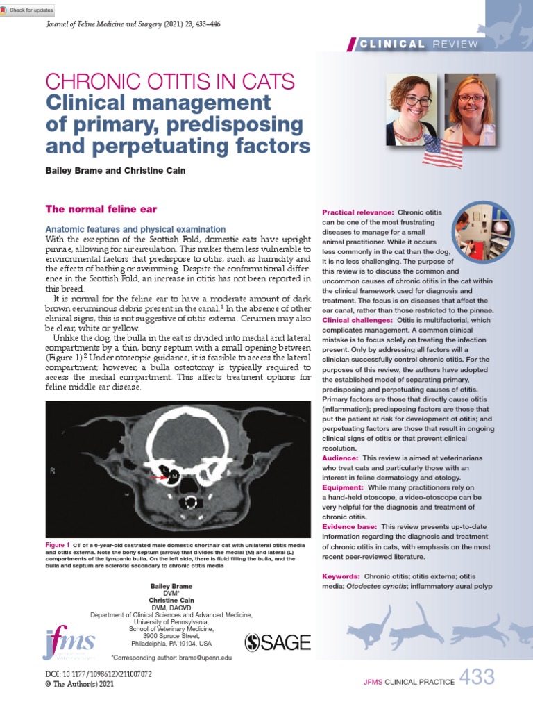 Chronic Otitis in Cats - Clinical Management of Primary, Predisposing ...