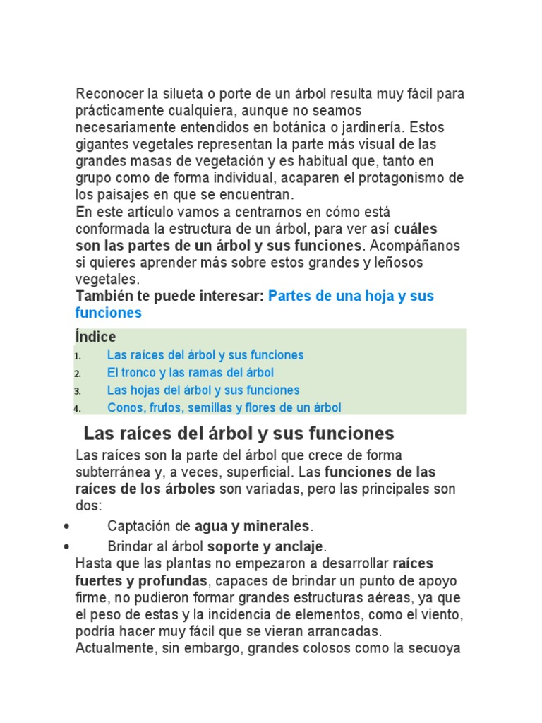 Partes de Un Arbol | PDF