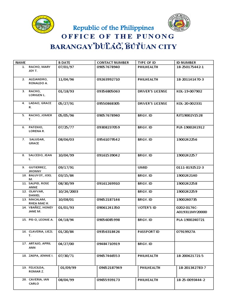 Office of The Punong Barangay Barangay Dulag, Butuan City | PDF
