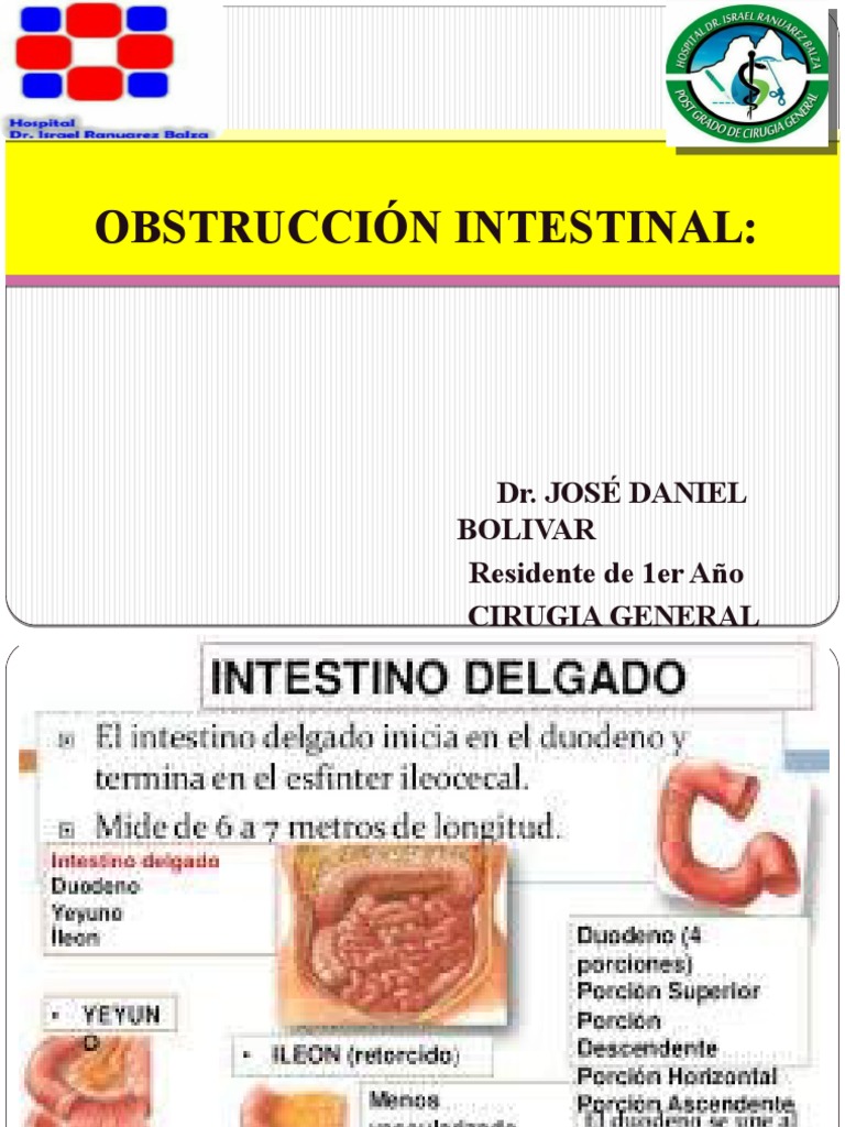 Obstrucción Intestinal | PDF | Enfermedades y trastornos humanos ...