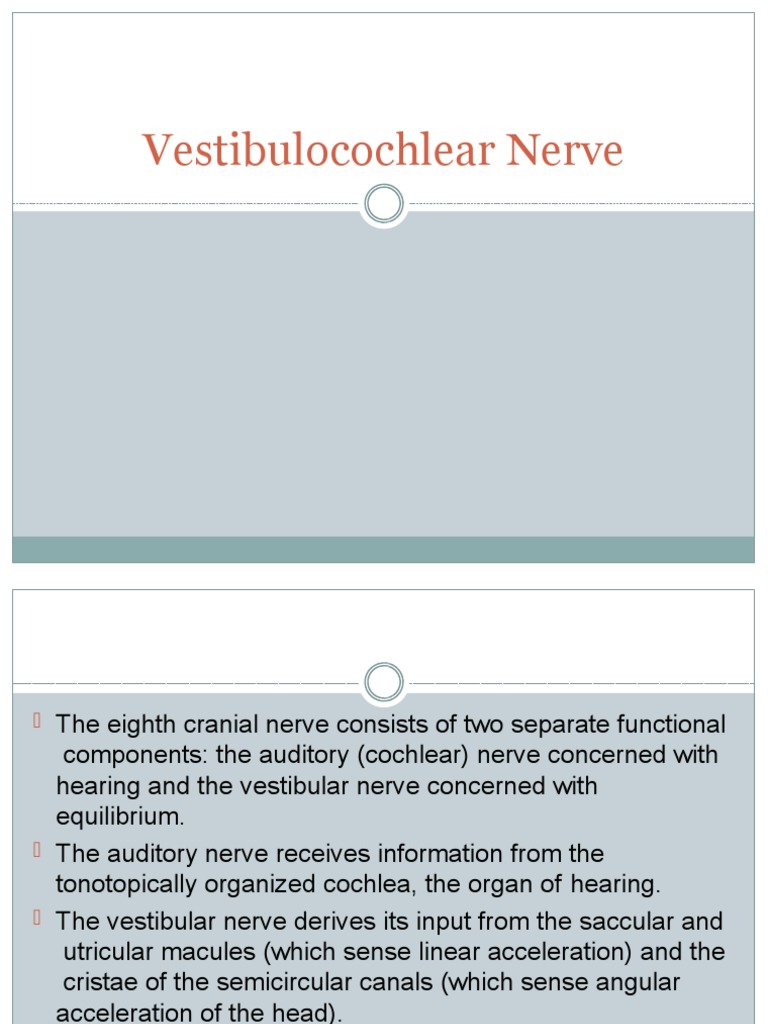 8th Nerve | PDF | Vertigo | Vestibular System