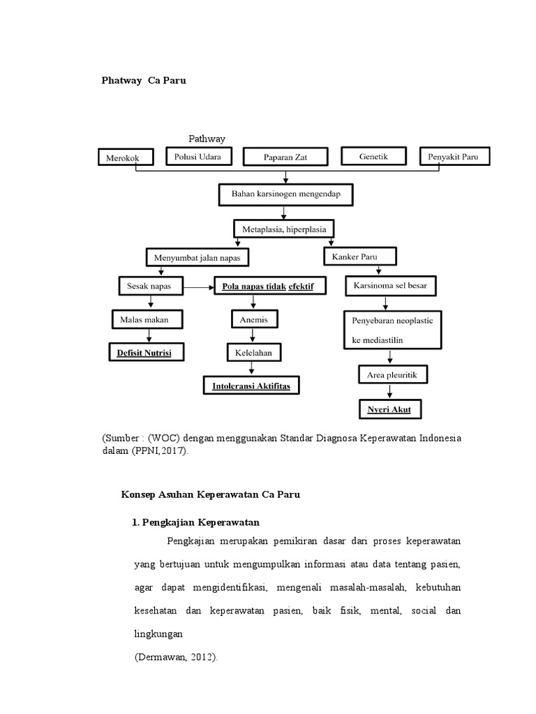 Ca Paru Pujianah | PDF