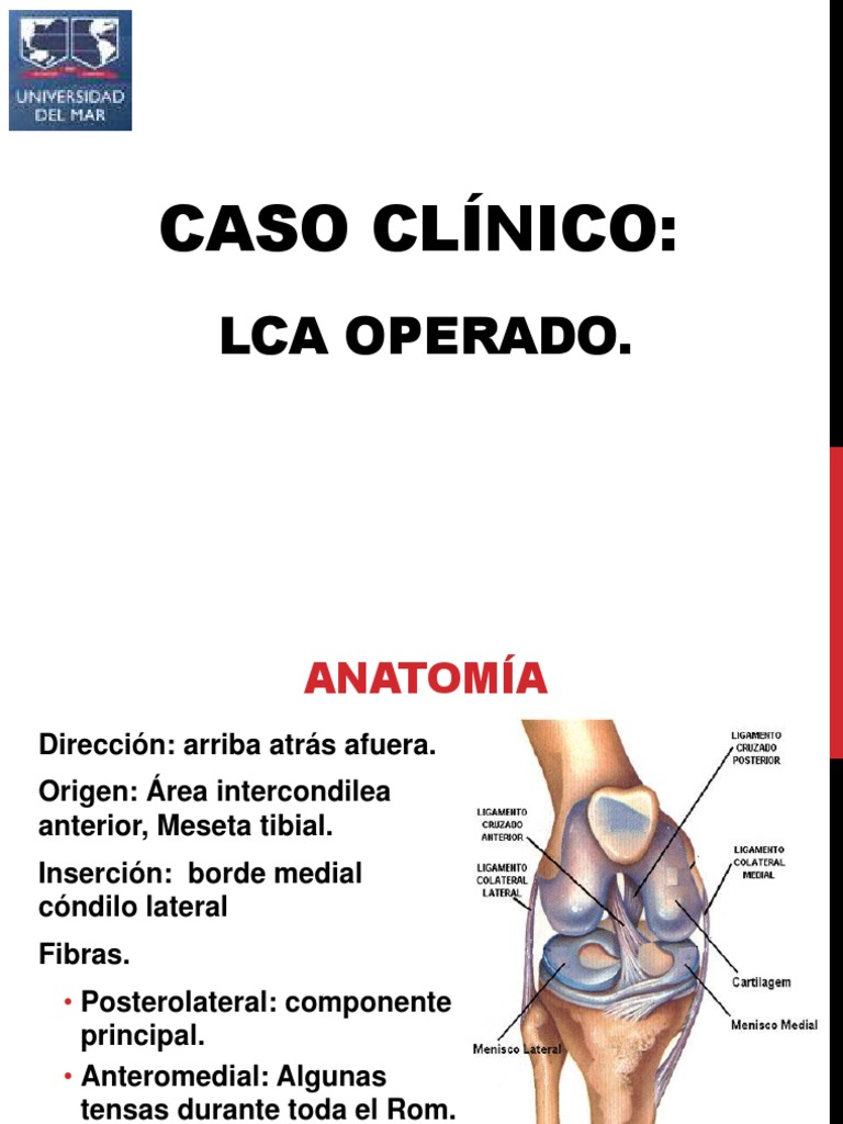 Caso Clinico LCA | PDF | Rodilla | Anatomía del miembro inferior