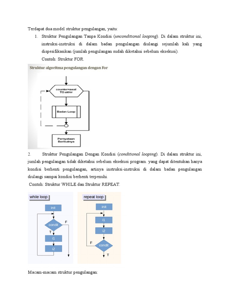 Struktur Pengulangan Pemrograman | PDF