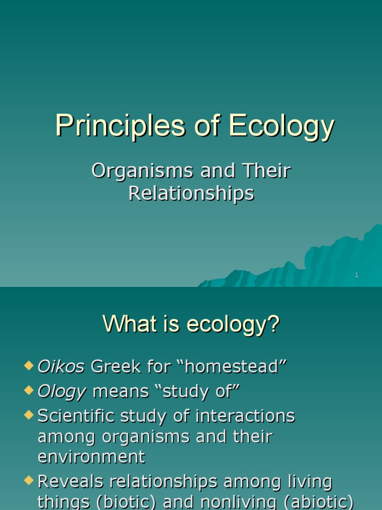 Principles of Ecology Explained | PDF | Food Web | Ecology