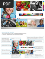 Carboline Color Code | PDF | Qualia | Color