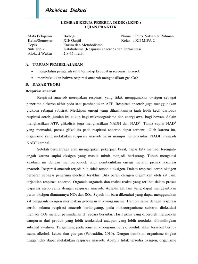 LKPD Enzim & Metabolisme | PDF