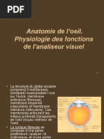 Anatomie du Corps Géniculé Latéral | PDF | Système visuel | Vision