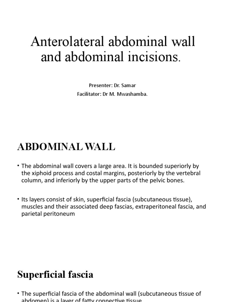Anterolateral Abdominal Wall Overview | PDF | Abdomen | Soft Tissue
