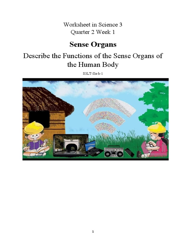 Sense Organs Worksheet | PDF | Copyright | Sensory Organs