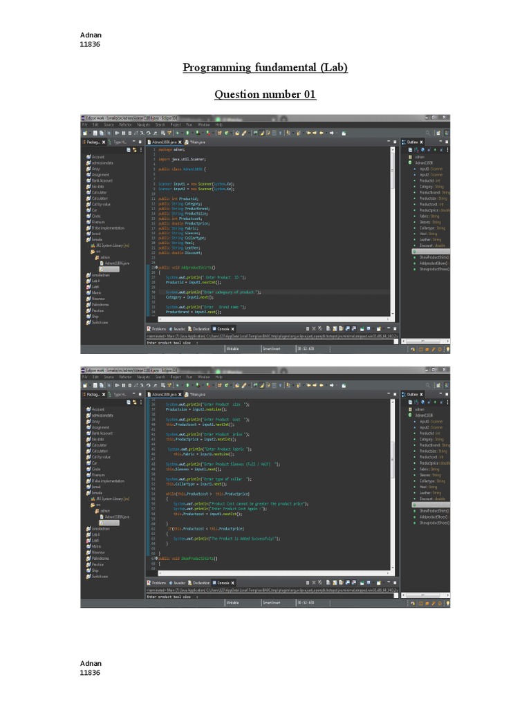 Adnan 11836 Object Oriented Programming (Lab) | PDF