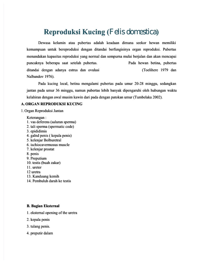 (PDF) Reproduksi Kucing - Compress | PDF