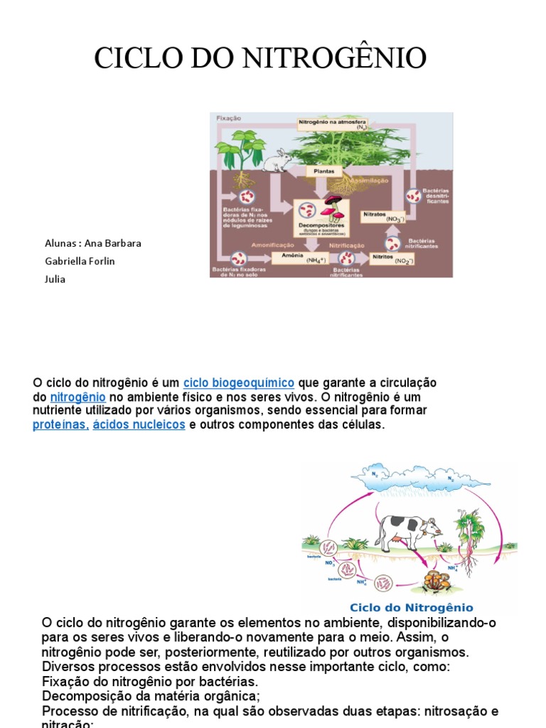 Ciclo Do Nitrogênio | PDF | Nitrogênio | Organismos