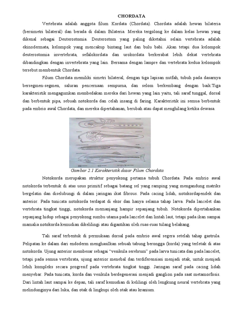 Perkembangan dan Karakteristik Filum Chordata | PDF