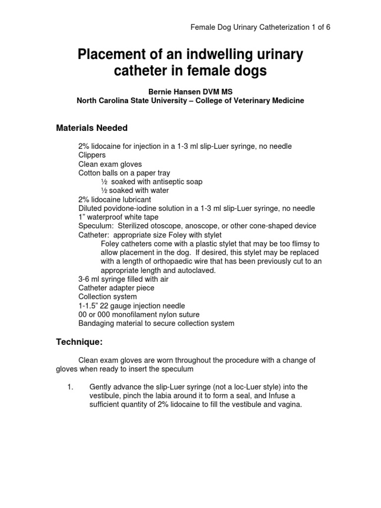 Female Urinary Catheter Placement Technique | PDF | Catheter | Vagina
